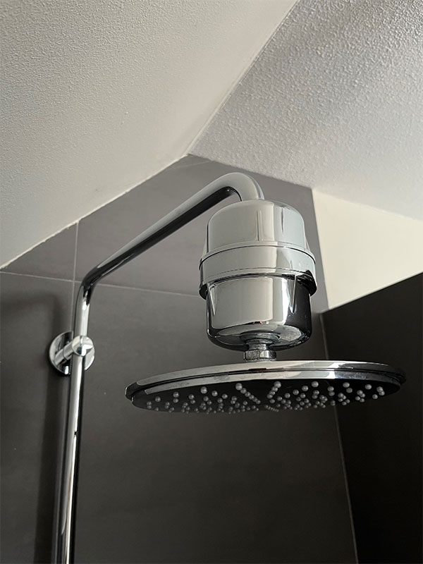 ProOne ProMax Douchefilter chroom